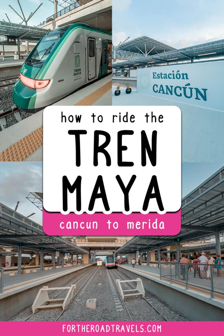How To Take The NEW Mayan Train From Cancun To Merida