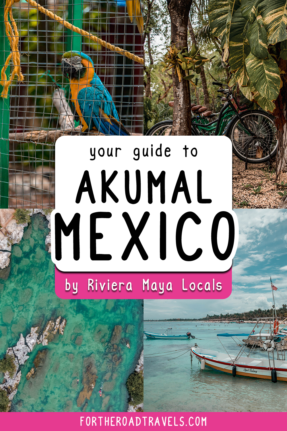 Akumal Mexico | Better Than Playa Del Carmen?